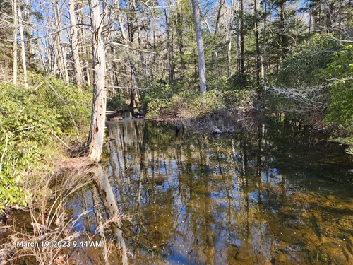 Best Hikes and Trails in Natchaug State Forest | AllTrails