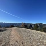 Pines to Peaks Loop, Colorado - 438 Reviews, Map | AllTrails