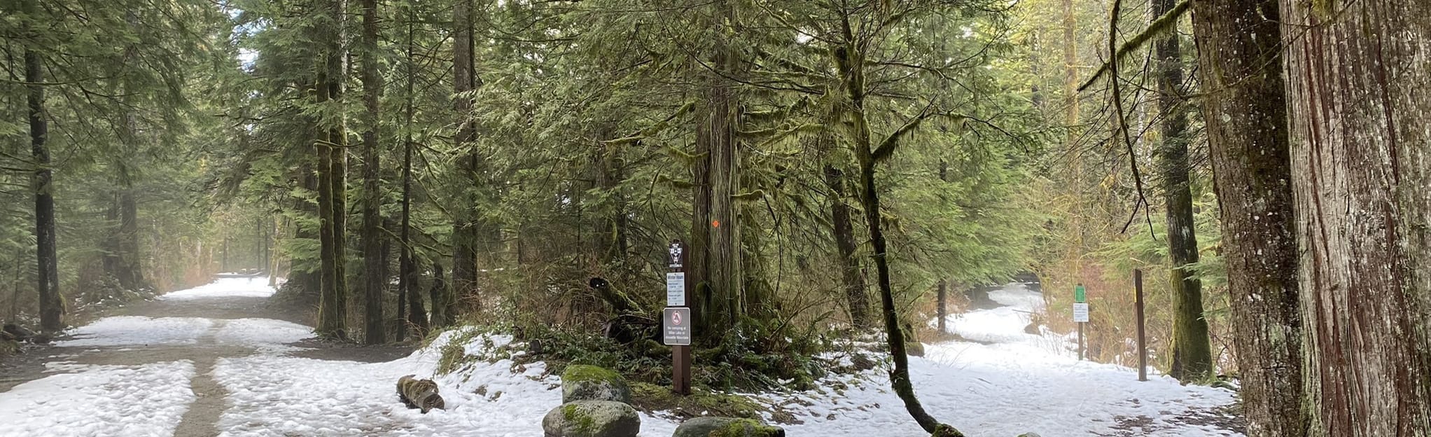 Incline and Whisky West Loop: 188 Reviews, Map - British Columbia ...