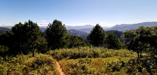 2023 Best 10 Trails and Hikes in Benguet | AllTrails