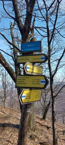 2023 Best Hot Springs Trails in Nemti | AllTrails