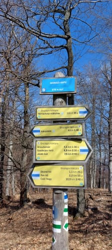 2023 Best Hot Springs Trails in Nemti | AllTrails