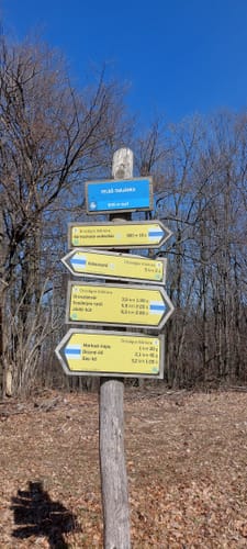 2023 Best Hot Springs Trails in Nemti | AllTrails