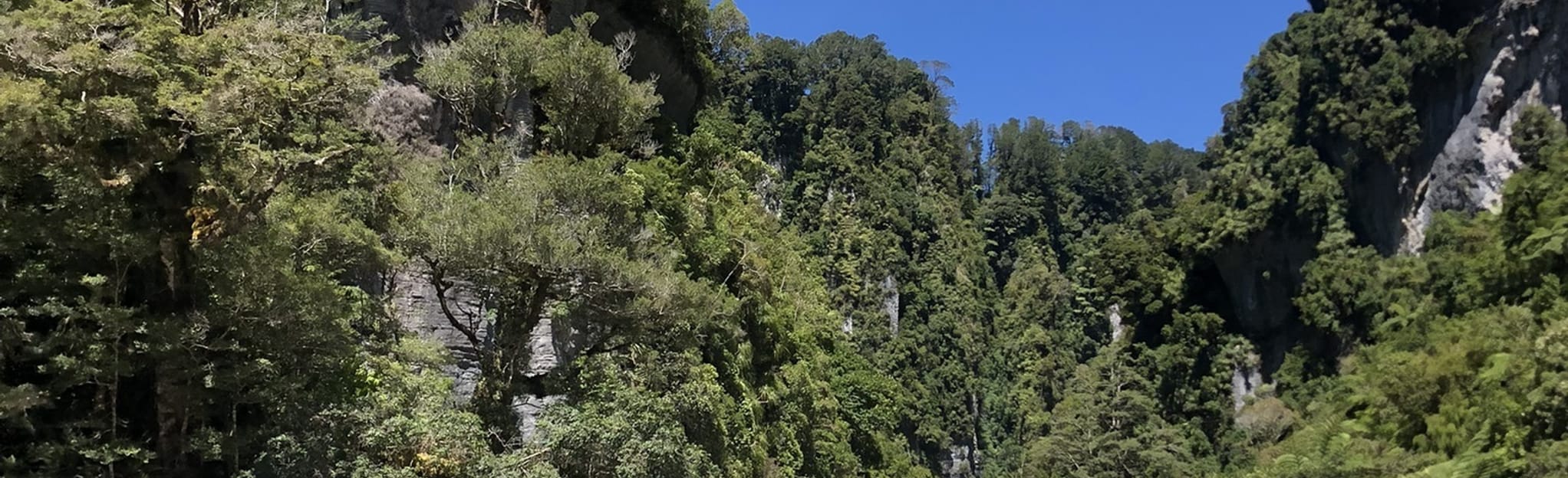 Ballroom Overhang Track, West Coast, New Zealand - 22 Reviews, Map ...