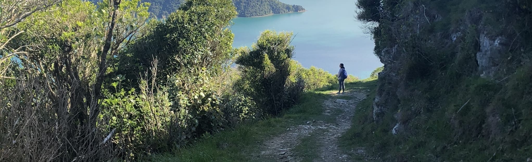 Queen Charlotte Track: Portage to Lochmara, Marlborough, New Zealand ...