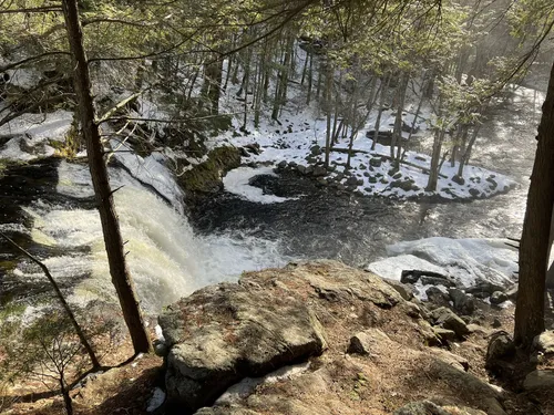 Best Lake Trails in Tully Lake Recreation Area | AllTrails