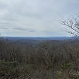 Springer Mountain, Georgia - 573 Reviews, Map | AllTrails