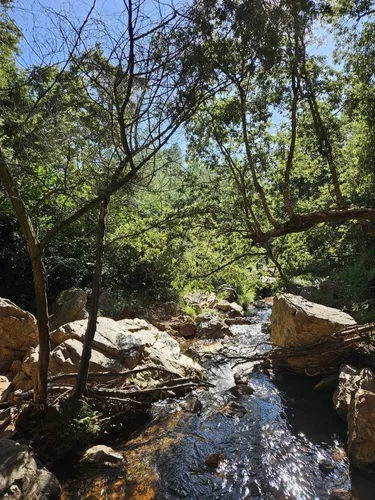 10 Best Waterfall Trails in Gauteng | AllTrails