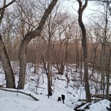 Mount Tom Tower Trail, Connecticut - 294 Reviews, Map | AllTrails