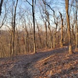 Mount Tom Tower Trail, Connecticut - 294 Reviews, Map | AllTrails