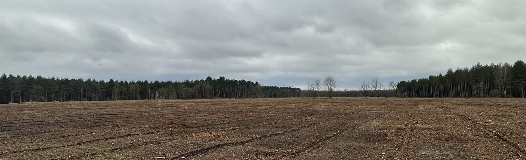 Santon Downham FR 24, Suffolk, England - 23 Reviews, Map | AllTrails