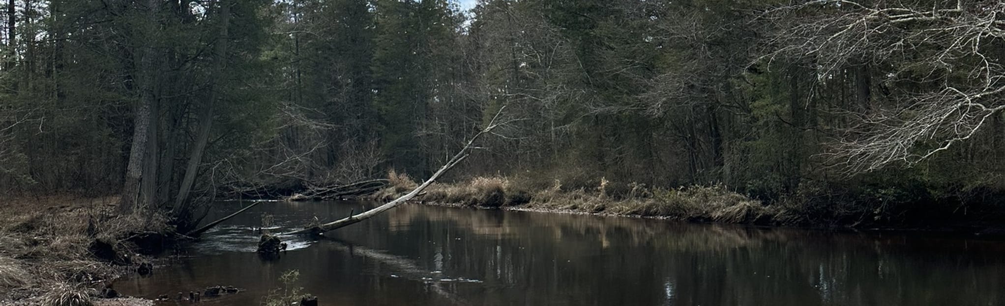 Wading River: Godfrey Bridge Rd to Bodine Field Rd, New Jersey - 39 ...