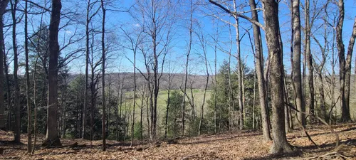 Best Hikes and Trails in Hemlock Bluff Nature Preserve | AllTrails