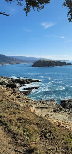 10 Best Trails and Hikes in Gold Beach | AllTrails