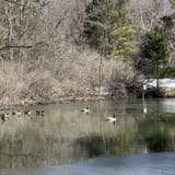 Genesee County Park and Forest Trail, New York - 284 Reviews, Map ...