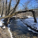 Genesee County Park and Forest Trail, New York - 284 Reviews, Map ...