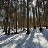 Genesee County Park and Forest Trail, New York - 284 Reviews, Map ...