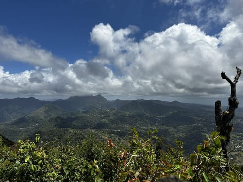 2023 Best Trails, Walks, and Paths in Micoud | AllTrails