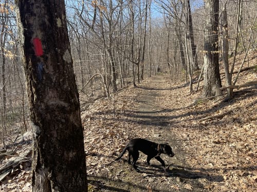 Best Hikes and Trails in God's Acre | AllTrails