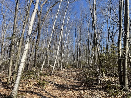 Best Hikes and Trails in God's Acre | AllTrails