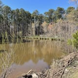 Lake Pine Loop, North Carolina - 920 Reviews, Map | AllTrails