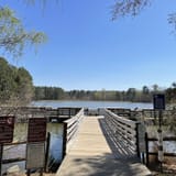 Lake Pine Loop, North Carolina - 920 Reviews, Map | AllTrails
