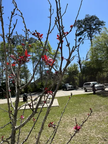 Best Hikes and Trails in Pedrick Pond Park | AllTrails