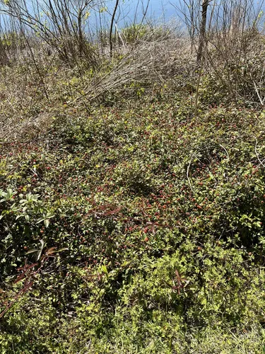 Best Hikes and Trails in Pedrick Pond Park | AllTrails