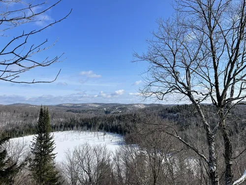 10 Best Forest Trails in Val-Morin | AllTrails