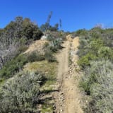 Colby Trail, California - 910 Reviews, Map | AllTrails