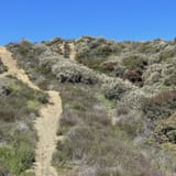 Colby Trail, California - 910 Reviews, Map | AllTrails