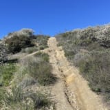 Colby Trail, California - 910 Reviews, Map | AllTrails