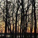 Timber Point, Maine - 302 Reviews, Map | AllTrails