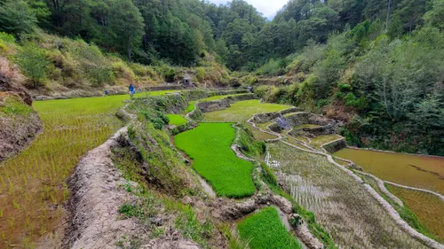 Best Walking Trails in Besao | AllTrails