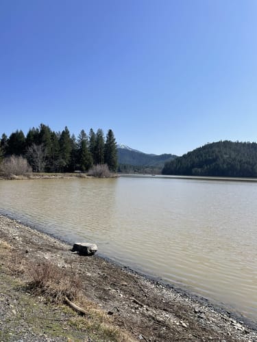 Best Hikes and Trails in Lake Selmac County Park | AllTrails