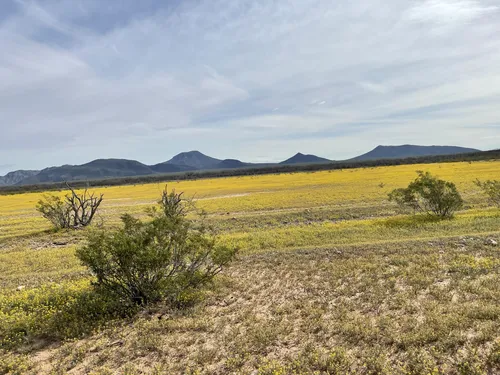 Best Hikes and Trails in Table Top Wilderness | AllTrails