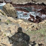 Ka Kahleh Trail, California - 699 Reviews, Map | AllTrails