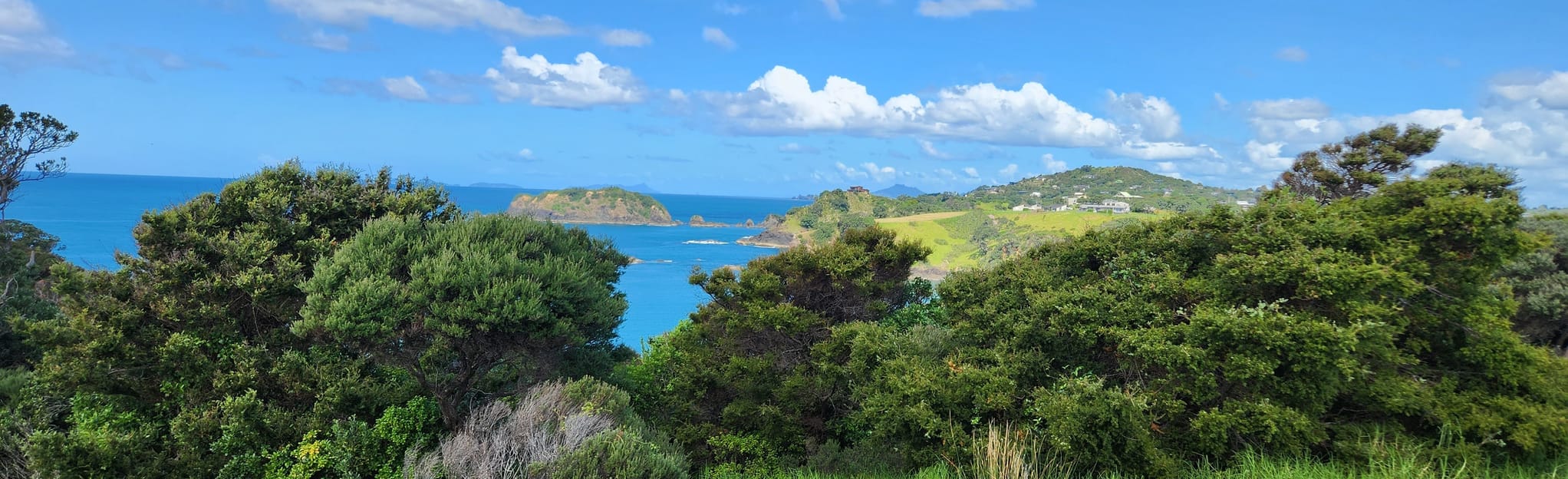 Tutukaka Lighthouse Track, Northland, New Zealand - 97 Reviews, Map ...