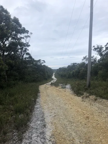 Best Hikes and Trails in Cape Conran Coastal Park | AllTrails