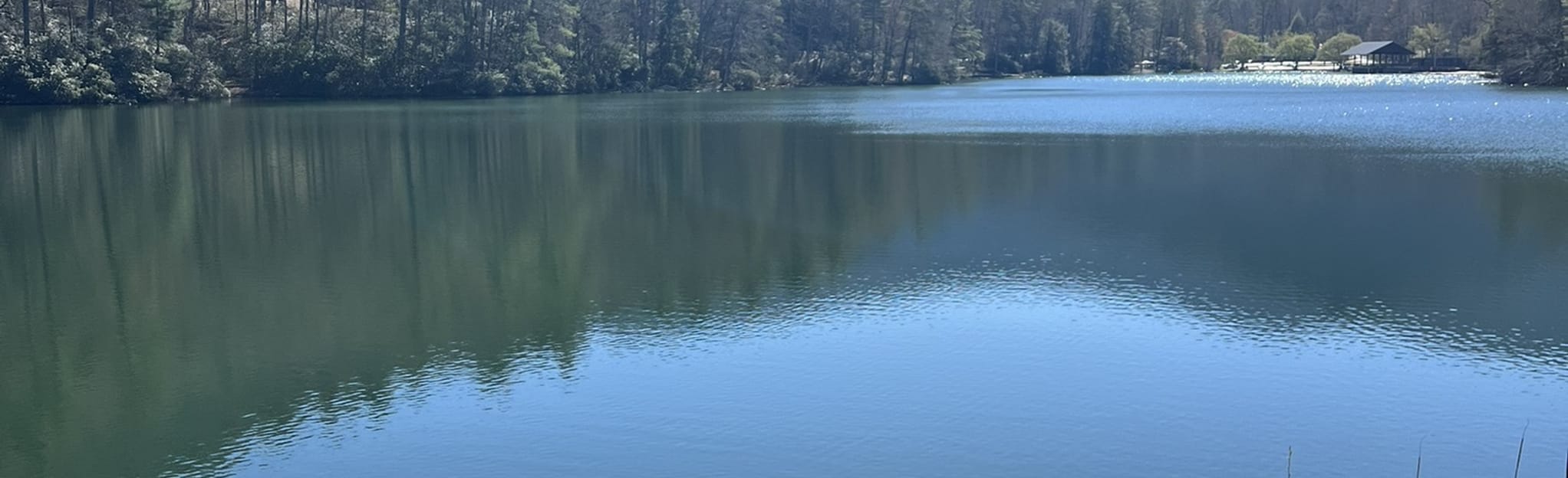 Lake Trahlyta Waterfall: 202 Reviews, Map - Georgia | AllTrails