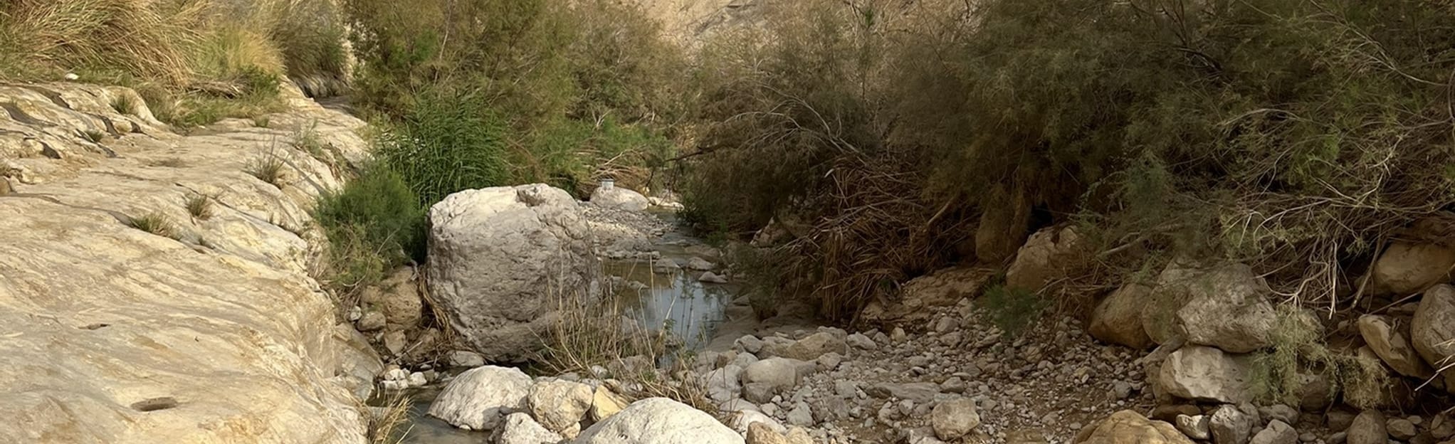 Ein Gedi: Hidden Waterfall: 17 Reviews, Map - Southern District HaDarom ...