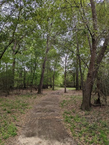 Best Hikes and Trails in Magnolia | AllTrails