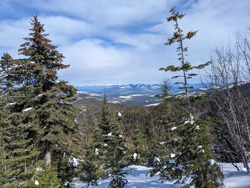 Best 10 Hikes and Trails in Mount Spokane State Park | AllTrails