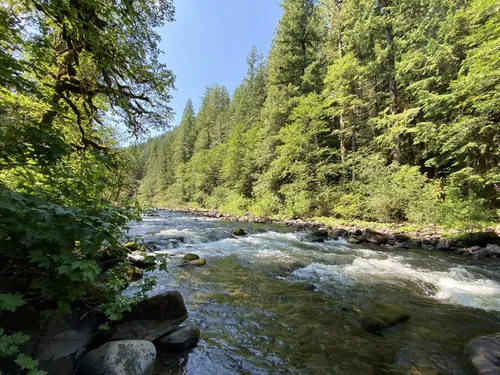 10 Best Hikes and Trails in Mount Hood National Forest | AllTrails