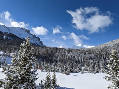 2023 Best Walking Trails in State Forest State Park | AllTrails