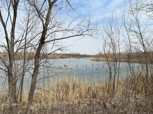 Best Hikes and Trails in Grunwald Farms Forest Preserve | AllTrails