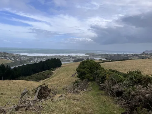2023 Best 10 Trails and Hikes in Dunedin | AllTrails