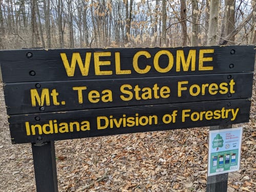 Best Hikes and Trails in Mountain Tea State Forest | AllTrails