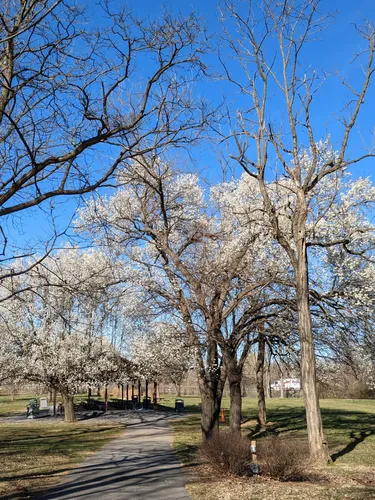 Best Hikes and Trails in Clear Brook | AllTrails