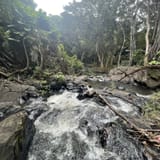 Alapena Pool and Kapena Falls Trail, Oahu, Hawaii - 331 Reviews, Map ...